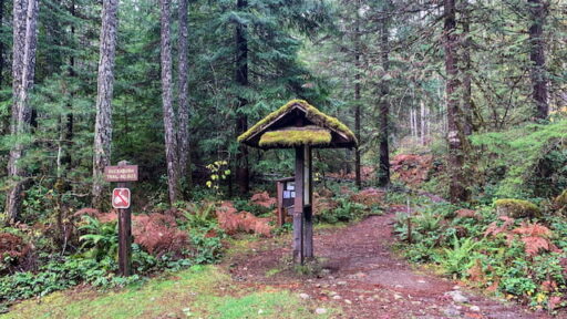オリンピック国立公園おすすめハイキング Duckabush Trail | HIKING Café