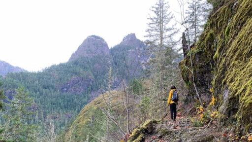 オリンピック国立公園おすすめハイキング Duckabush Trail | HIKING Café