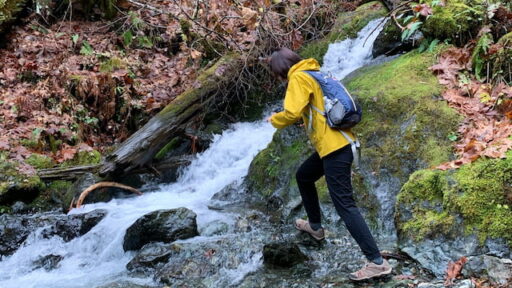 オリンピック国立公園おすすめハイキング Duckabush Trail | HIKING Café