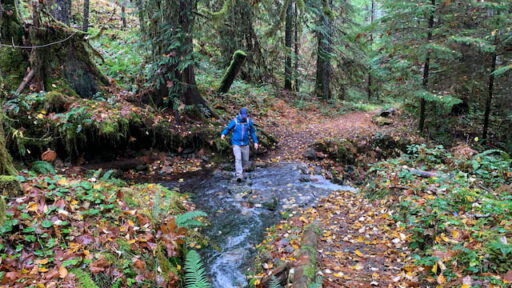 オリンピック国立公園おすすめハイキング Duckabush Trail | HIKING Café