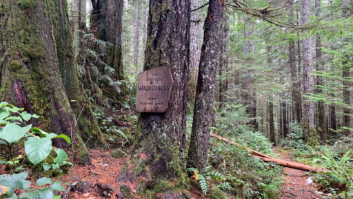 オリンピック国立公園おすすめハイキング Duckabush Trail | HIKING Café
